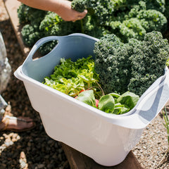 Strucket USA: Laundry Soaking Bucket | Strainer Draining Bucket